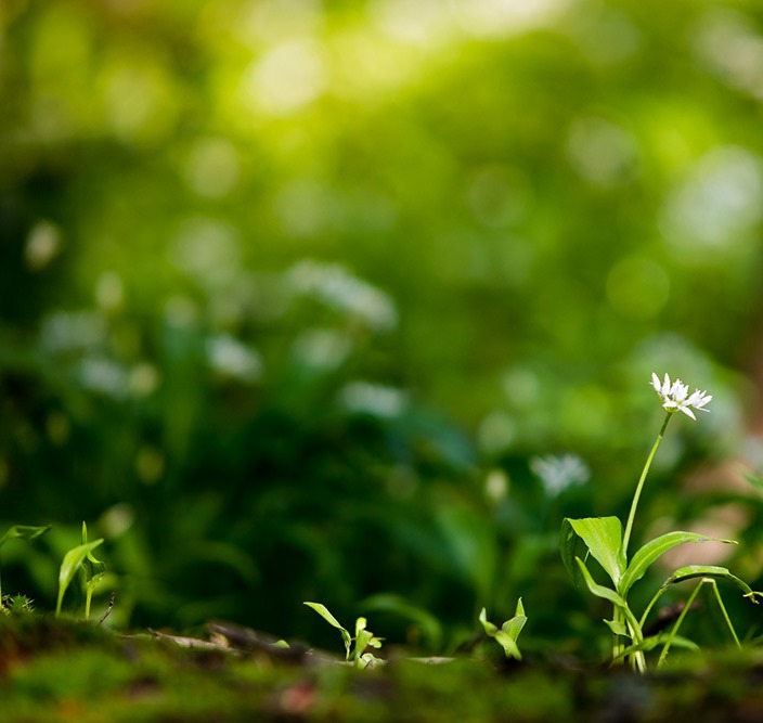 Sinh viên tìm hiểu cơ hội nghề nghiệp, bổ sung kỹ năng qua Ngày hướng ...